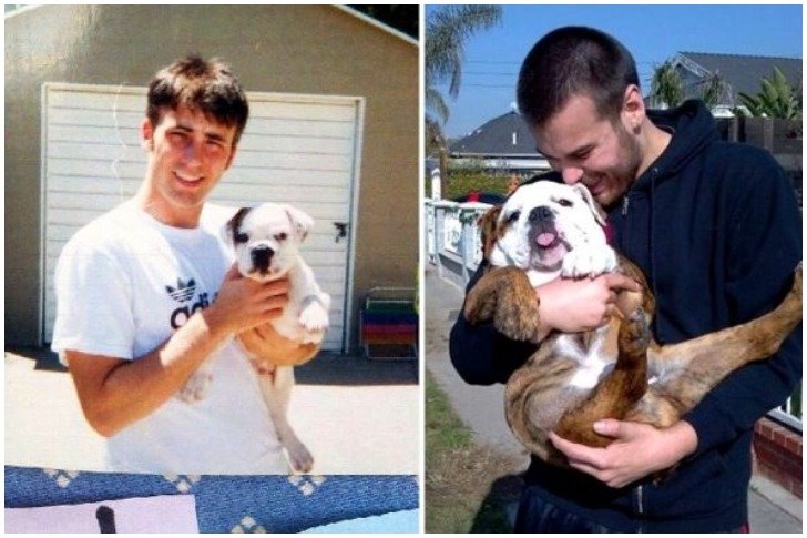 Celebrities Own Some Of The Most Exotic Animals As Pets Medical Matters celebrities-own-some-of-the-most-exotic-animals-as-pets-medical-matters
